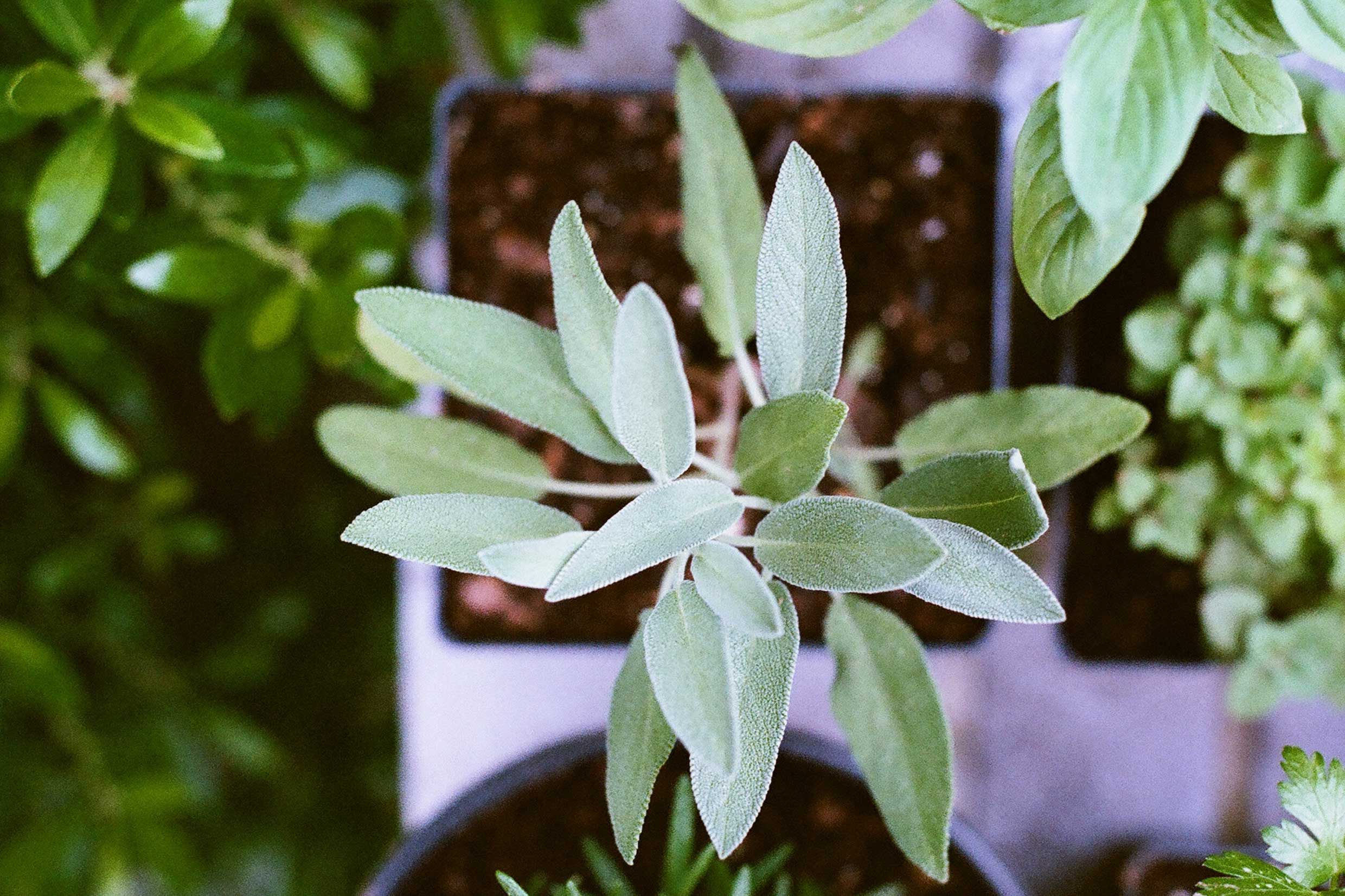 About Mpya Science & Technology | Mpya Sci & Tech